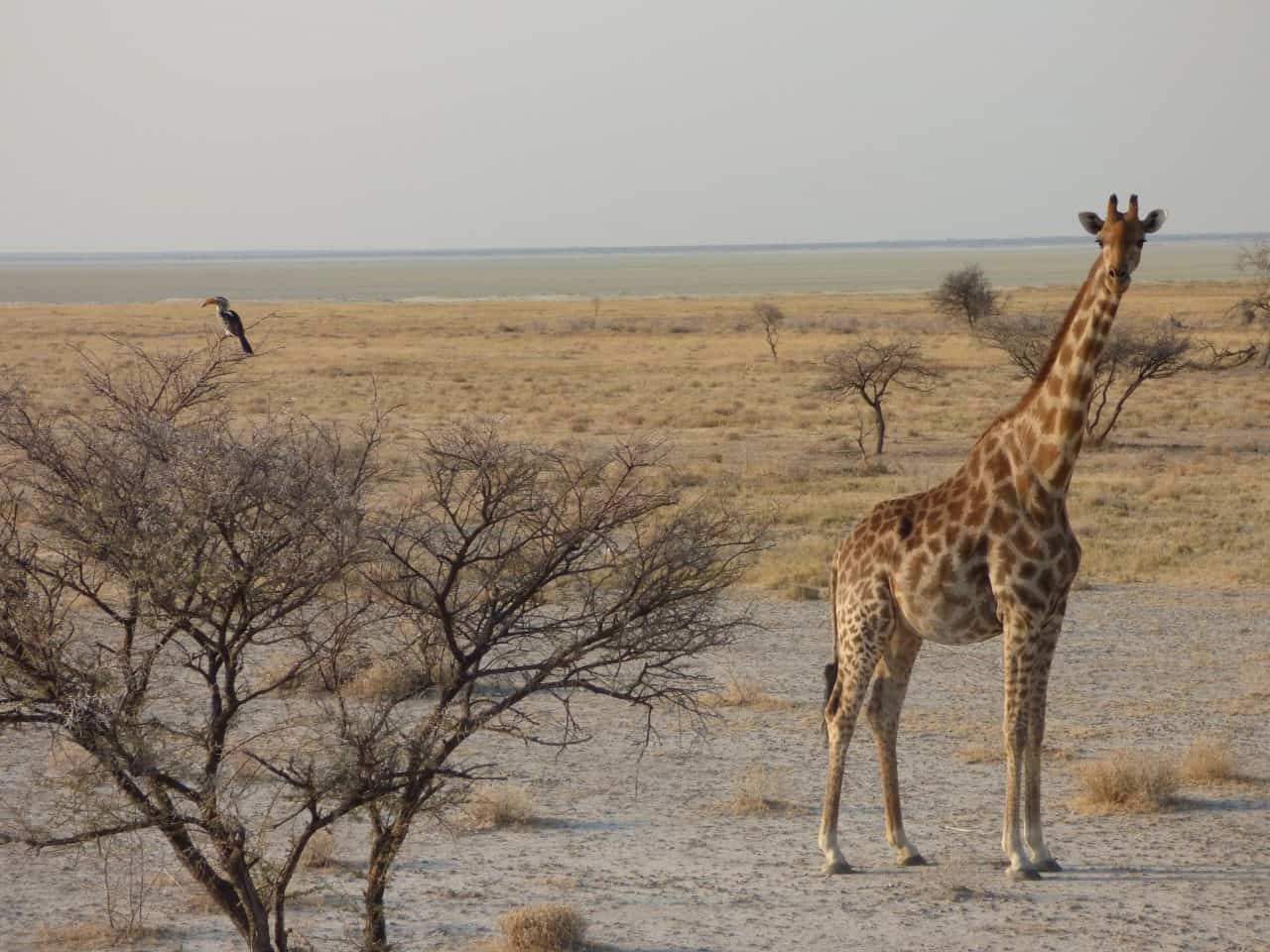 10 Reasons To Visit Namibia in 15 Stunning Photographs