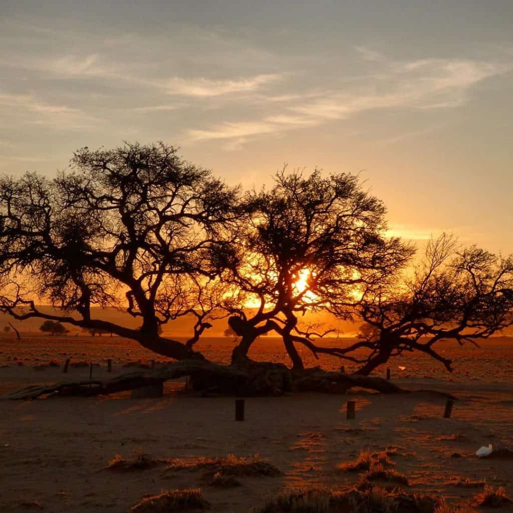 10 Reasons To Visit Namibia in 15 Stunning Photographs