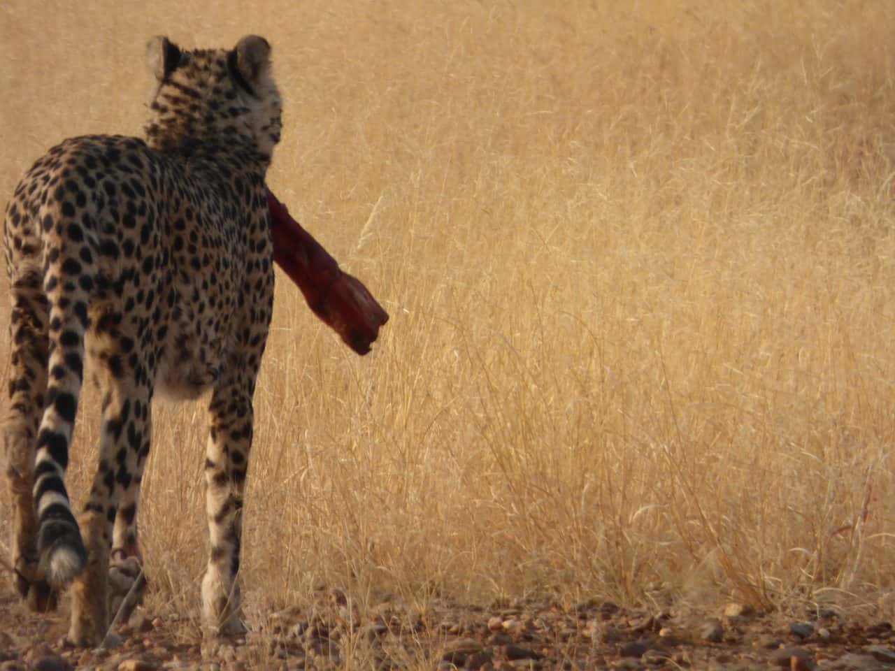 10 Reasons To Visit Namibia in 15 Stunning Photographs