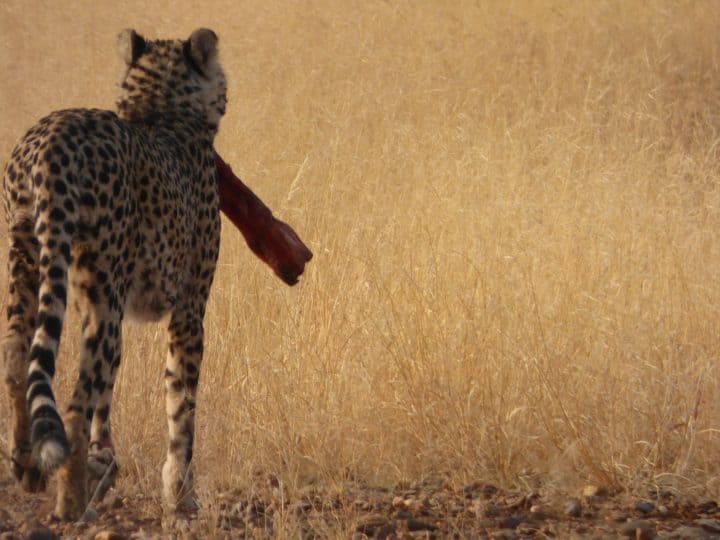 10 Reasons To Visit Namibia in 15 Stunning Photographs