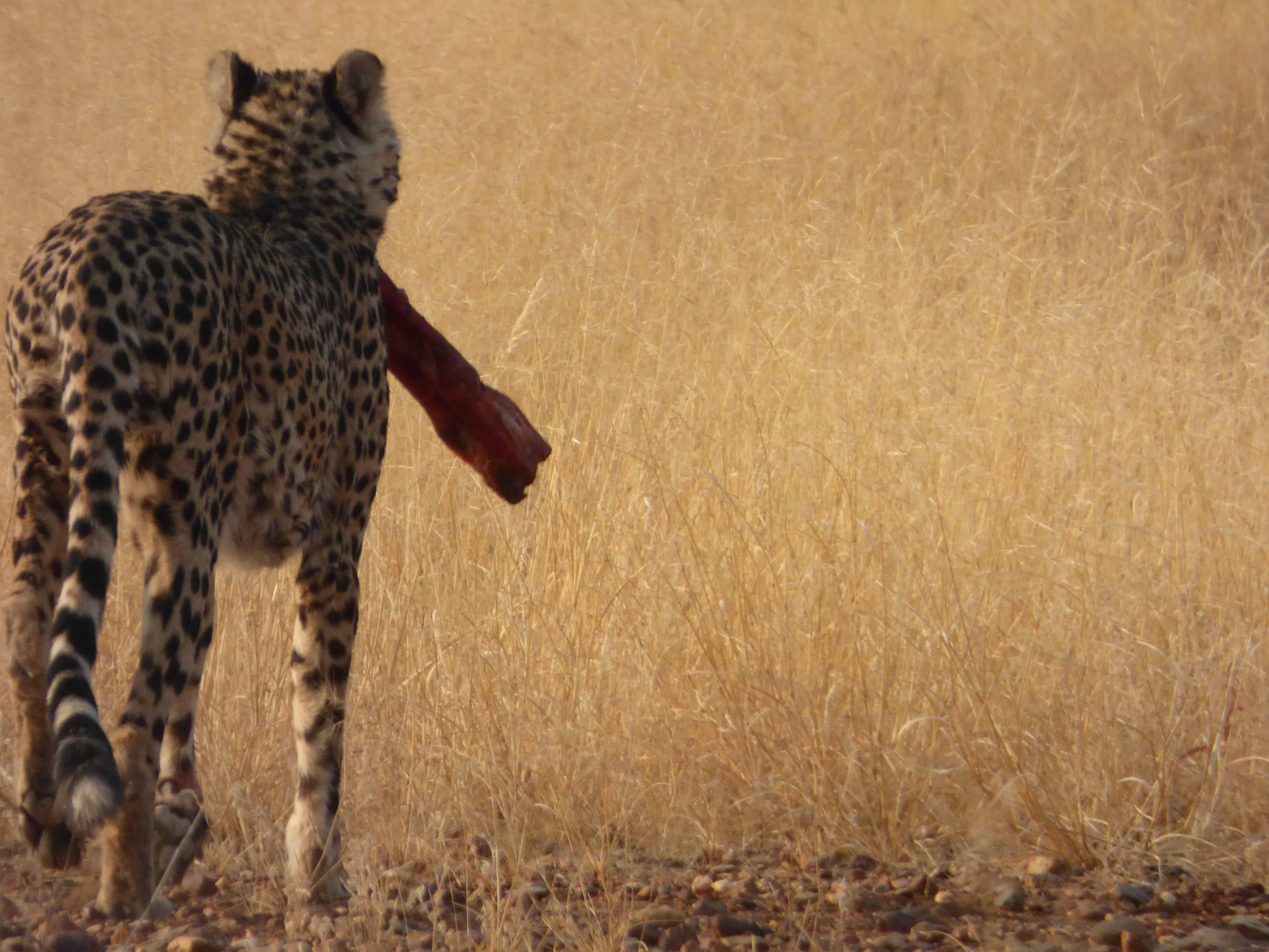 10 Reasons To Visit Namibia in 15 Stunning Photographs