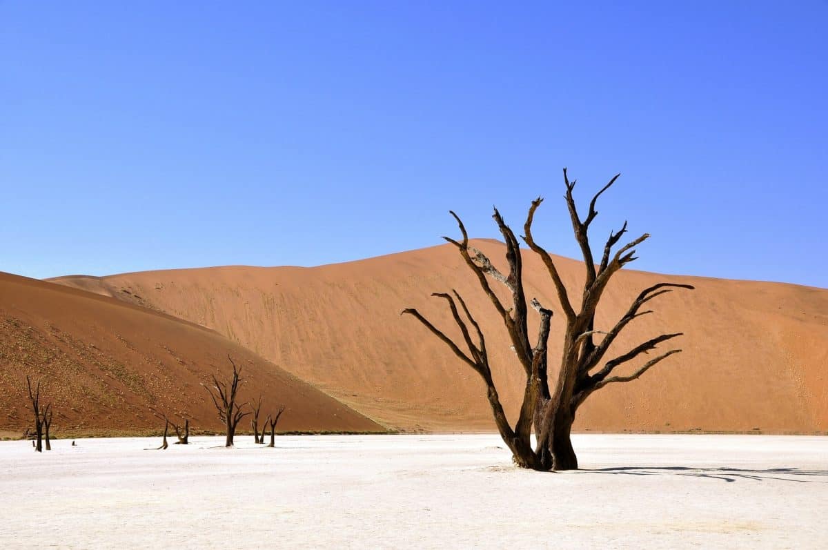 10 Reasons To Visit Namibia in 15 Stunning Photographs