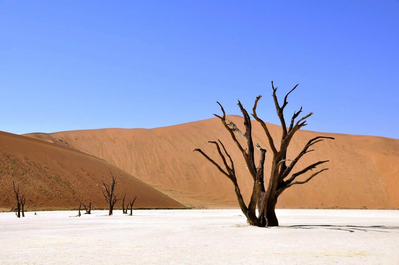 10 Reasons To Visit Namibia in 15 Stunning Photographs