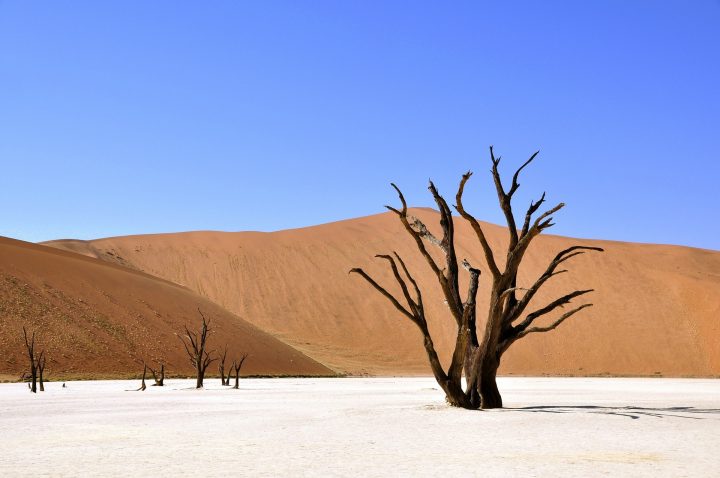 10 Reasons To Visit Namibia in 15 Stunning Photographs
