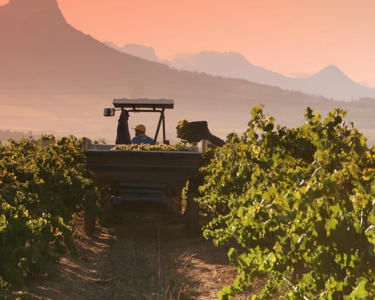South Africa's Garden Route: Drive from Johannesburg to Cape Town (or ...