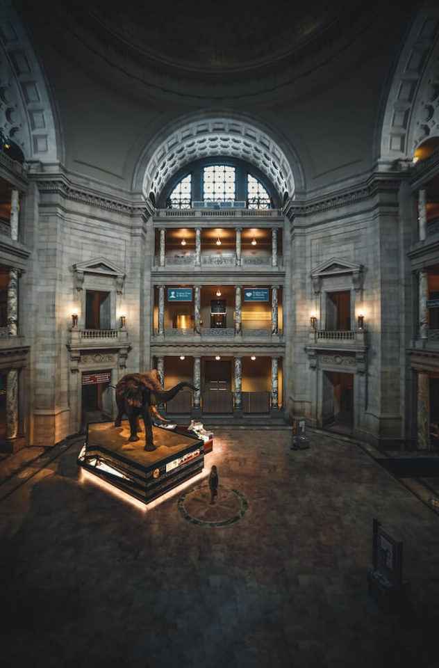 Complete Guide to all 20 Free Smithsonian Museums (in DC, NYC & VA)